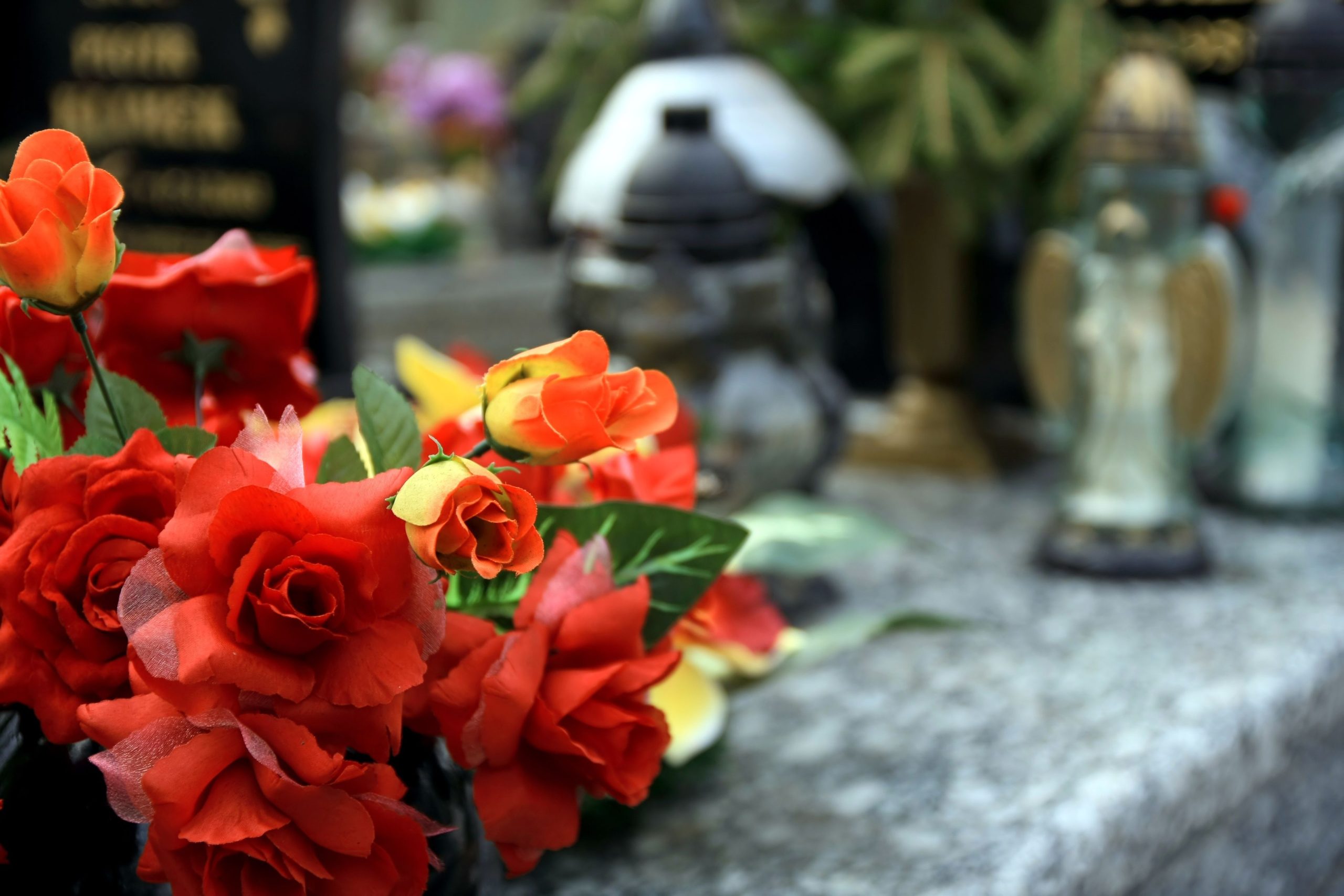 Comprehensive Overview of End-of-Life Arrangements at Lafayette in ...